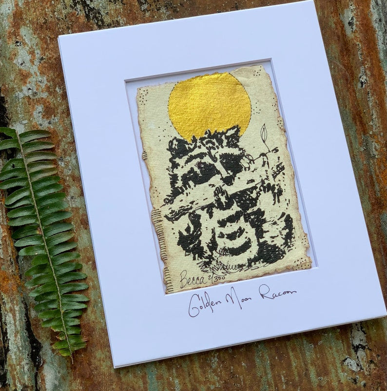 Raccoon Collection – Rebecca Sipper Art