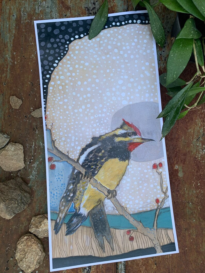 Yellow Bellied Sap Sucker - Framed Archival print – Rebecca Sipper Art